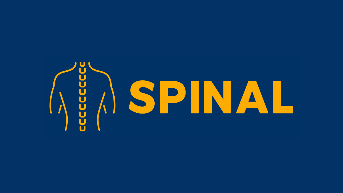 Kauppa | Spinal